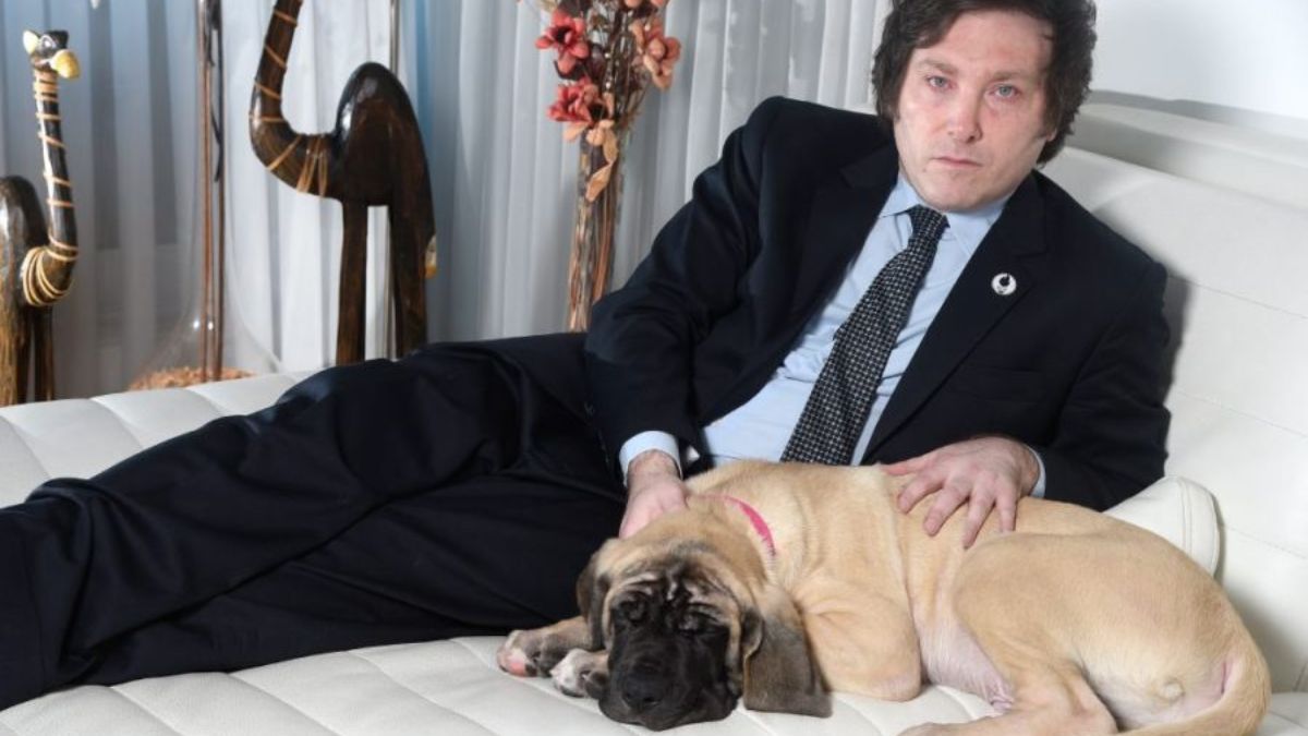 Insólito: Javier Milei habla con Conan, su perro fallecido en 2017