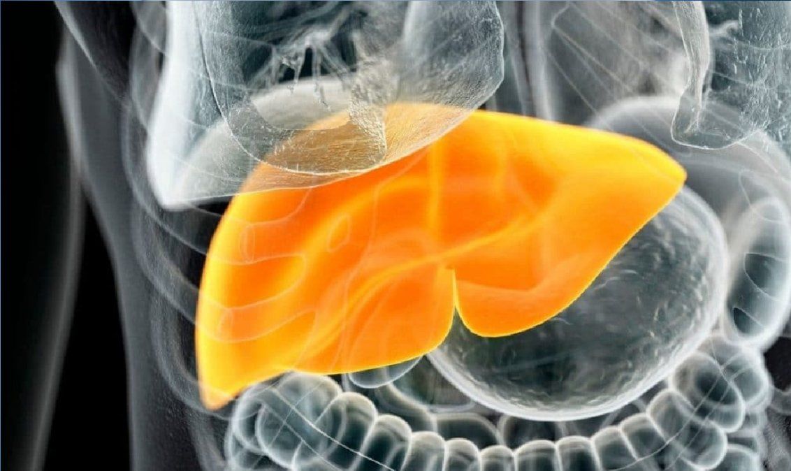 7 alimentos ricos en vitaminas para fortalecer la salud del hígado