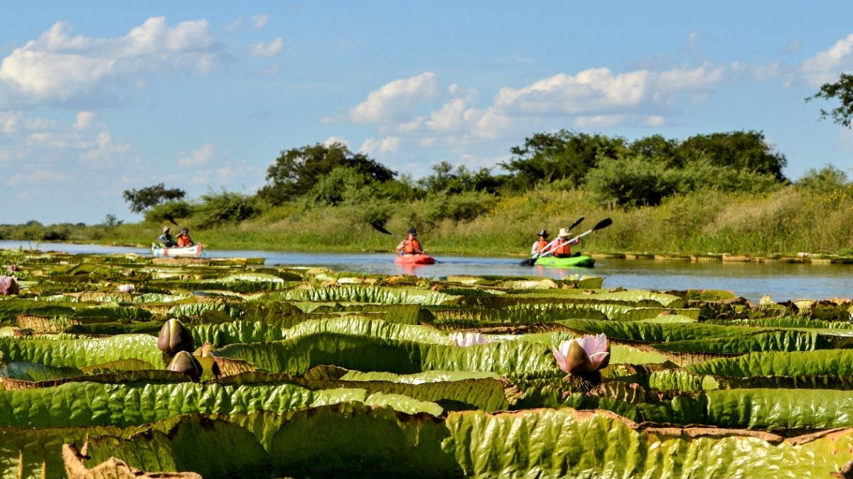 Turismo: Santa Fe está entre los siete destinos más buscados del país