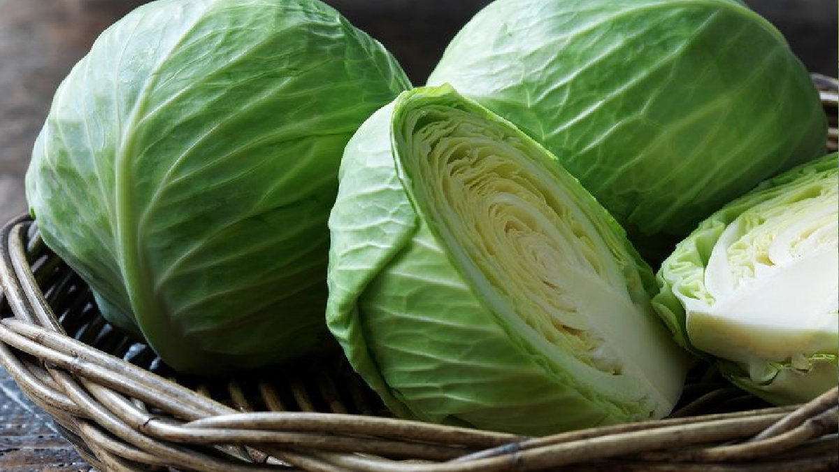 Cuáles son los beneficios del repollo