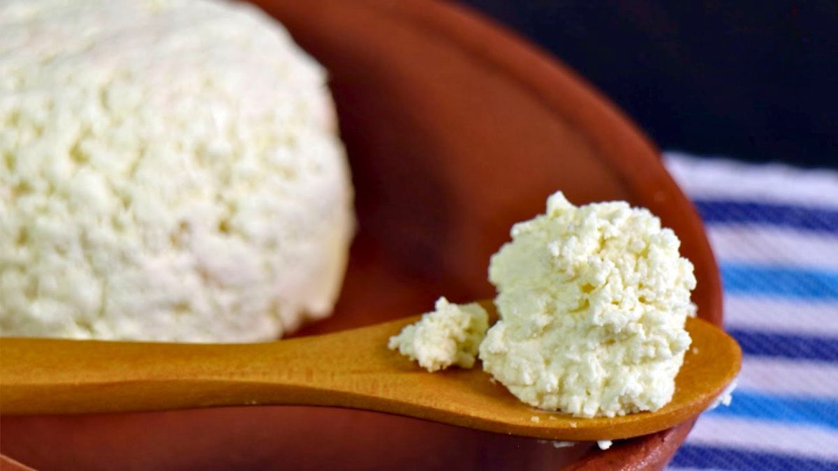 Cómo hacer redonditos de ricota: la recetarica y para todas las comidas
