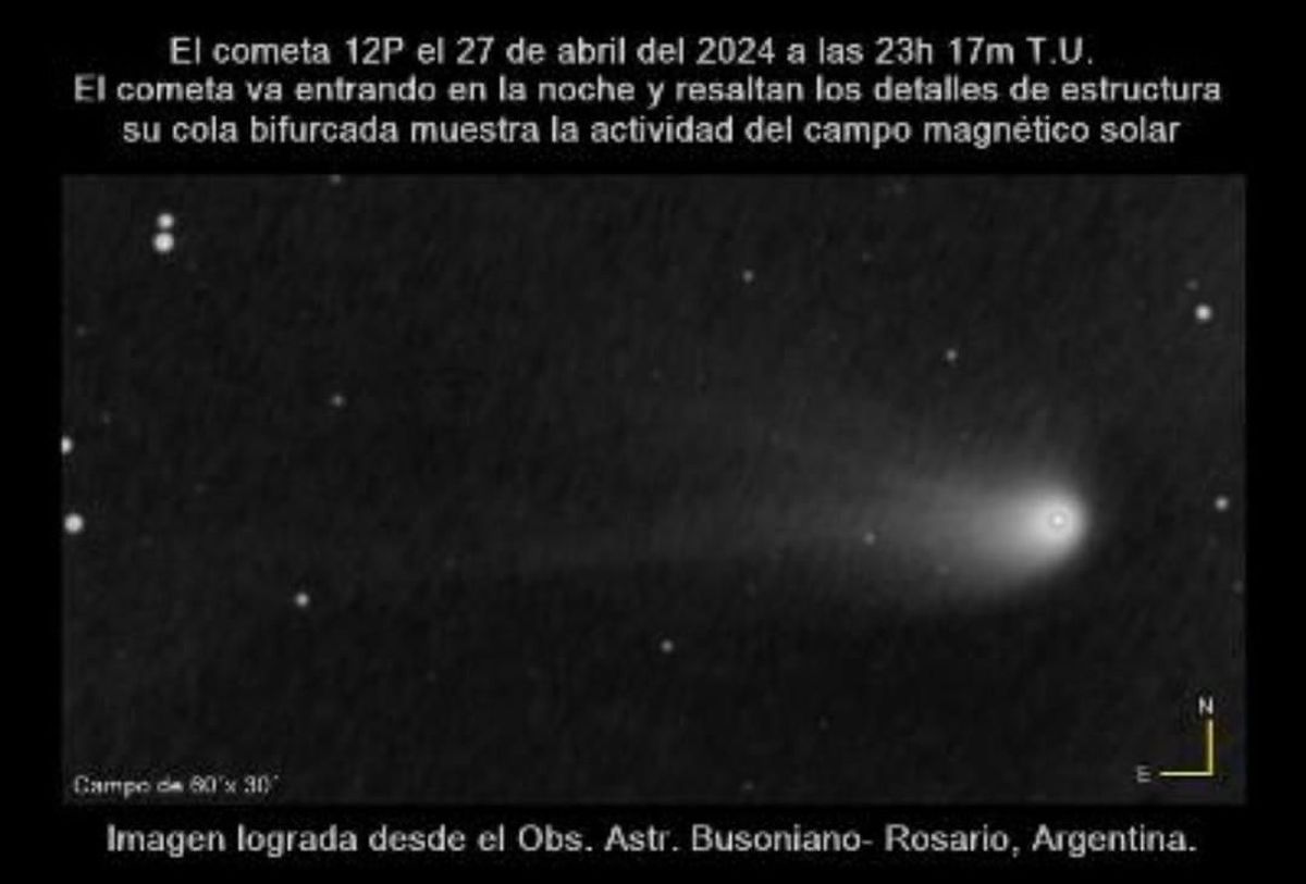El impresionante cometa diablo puede verse desde Santa Fe: las mejores ...