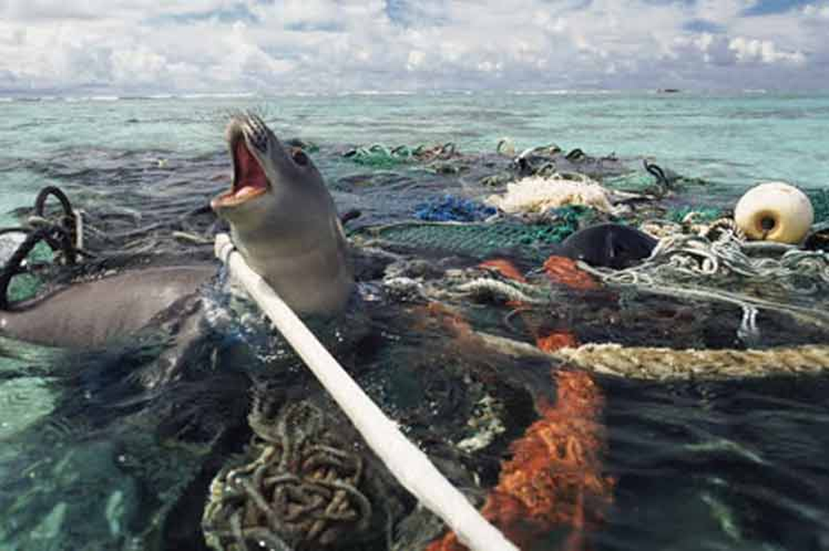 5 estrategias tecnológicas para limpiar los océanos