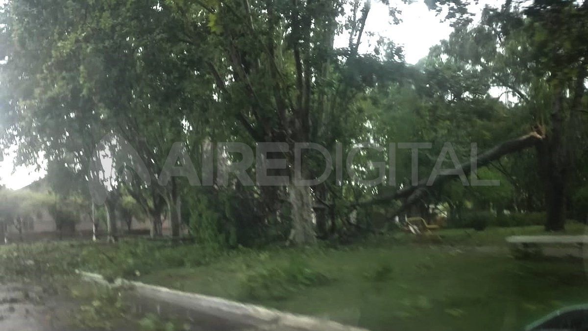 Maciel: por el temporal, hubo evacuados y hay medio pueblo sin luz