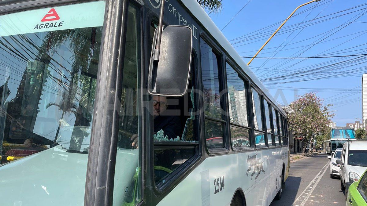 Santa Fe violenta: un vendedor ambulante atacó a ladrillazos a un ...