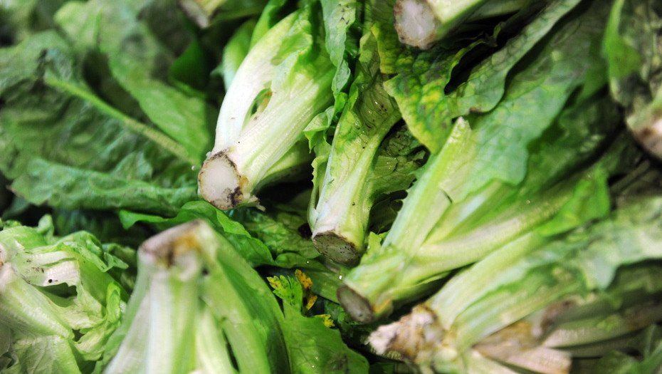Por qué la lechuga está tan cara y por cuánto tiempo seguirá así