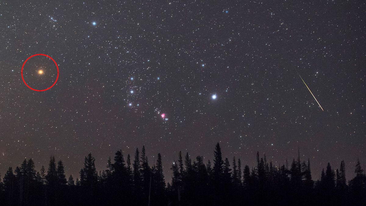 La nueva explicación de por qué la estrella supergigante Betelgeuse ...