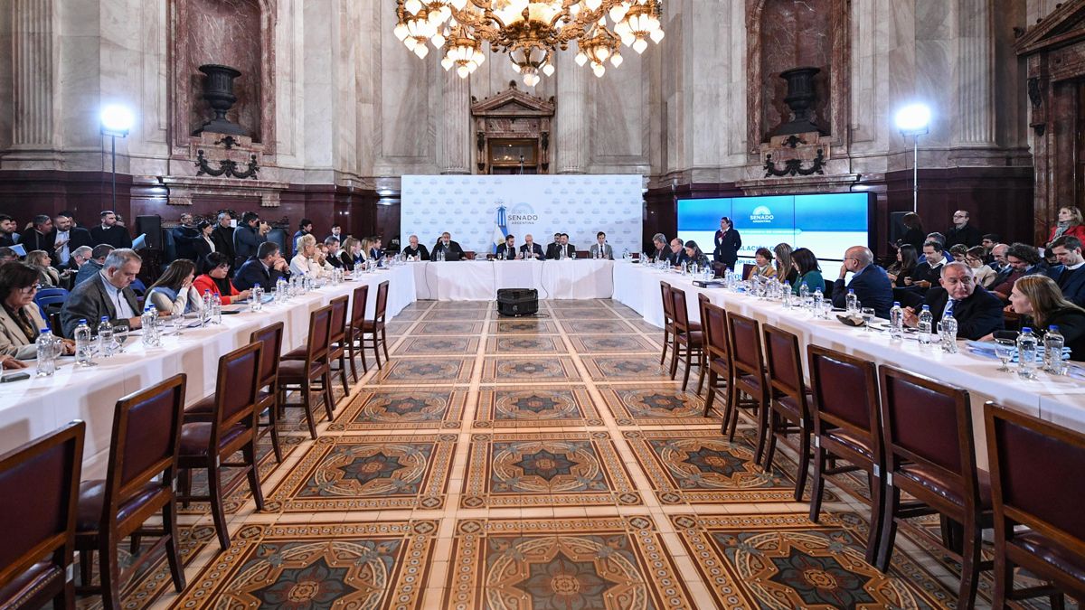 Ley Bases El Gobierno Logró Las 28 Firmas En El Senado Y Tiene Dictamen
