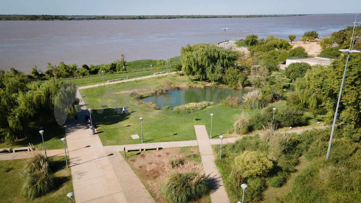 El Acuario del río Paraná, un espacio único que permite develar lo que ...