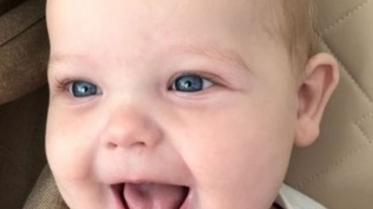 Mirko, el bebé de Marley, es récord Guinness