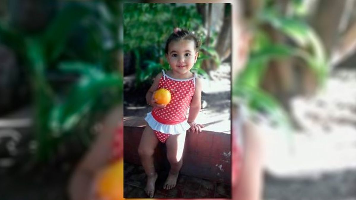 Tragedia En Merlo Una Nena De 2 Años Murió Aplastada Por Un árbol