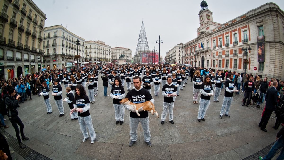 Malala Fontán, de fotógrafa de moda a activista por los derechos de los ...
