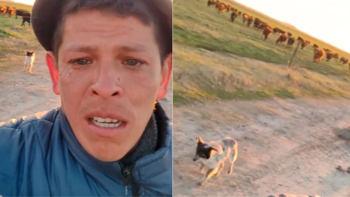 La triste historia de Víctor, el peón rural que lloró al despedirse de ...