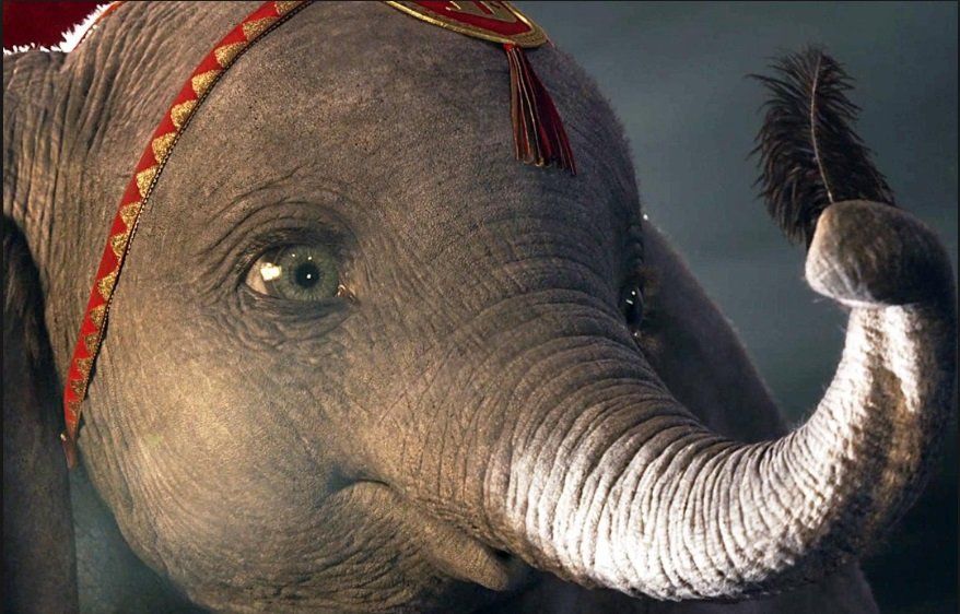 La verdadera historia de “Dumbo”, el elefante triste