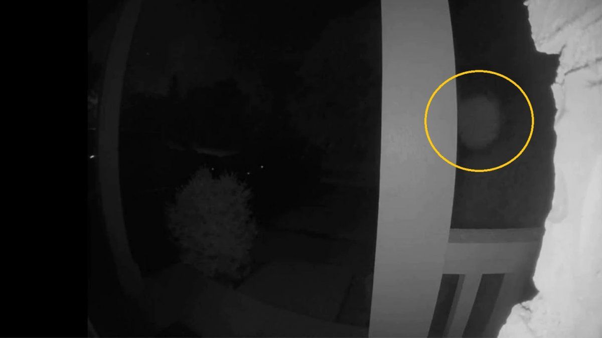 Video: escucharon un ruido extraño, empezaron a filmar y apareció una ...