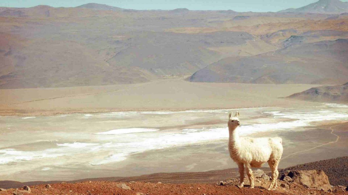 Qué hacer en Catamarca: los 5 atractivos más visitados e imperdibles de ...