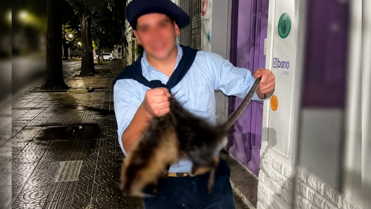 Maltrato animal en Bahía Blanca: mataron a patadas a una nutria, se ...