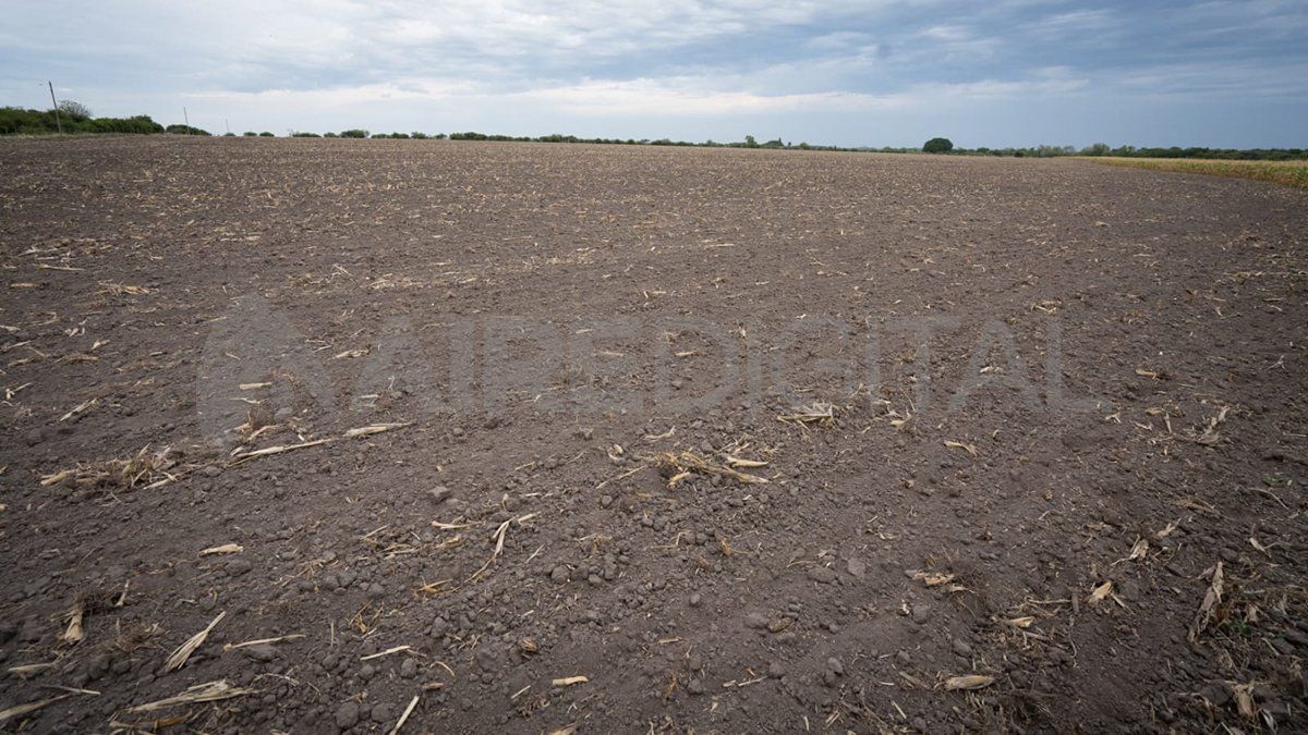 Sequía en el norte de Santa Fe: para los productores el anuncio de ...