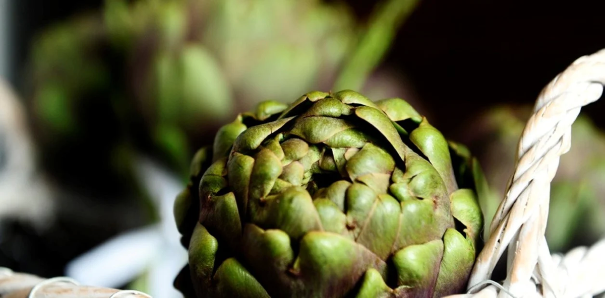 Así se prepara el alcaucil, el ingrediente estrella de MasterChef la ...