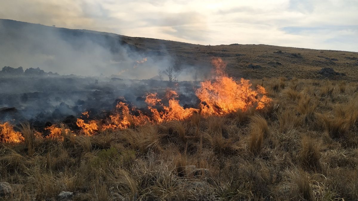Cómo los incendios en Córdoba afectan el ciclo del agua y causan más ...