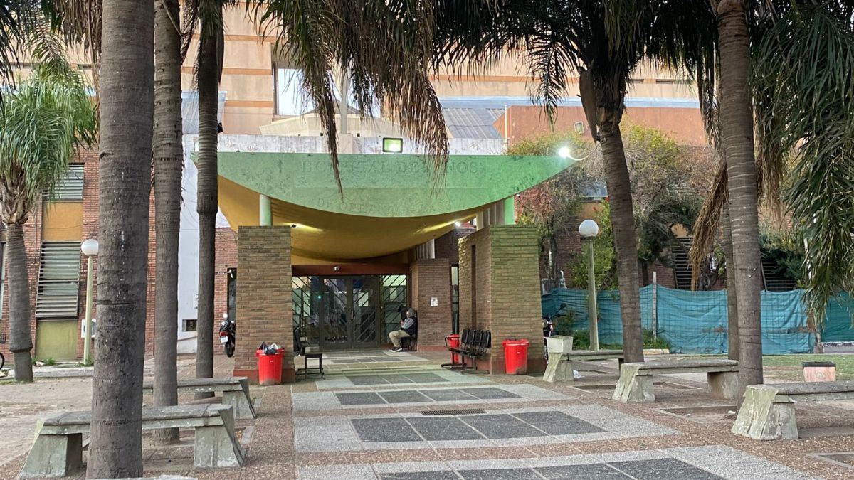 Ataque de pitbull en Santa Fe: la beba muestra respuesta neurológica y ...