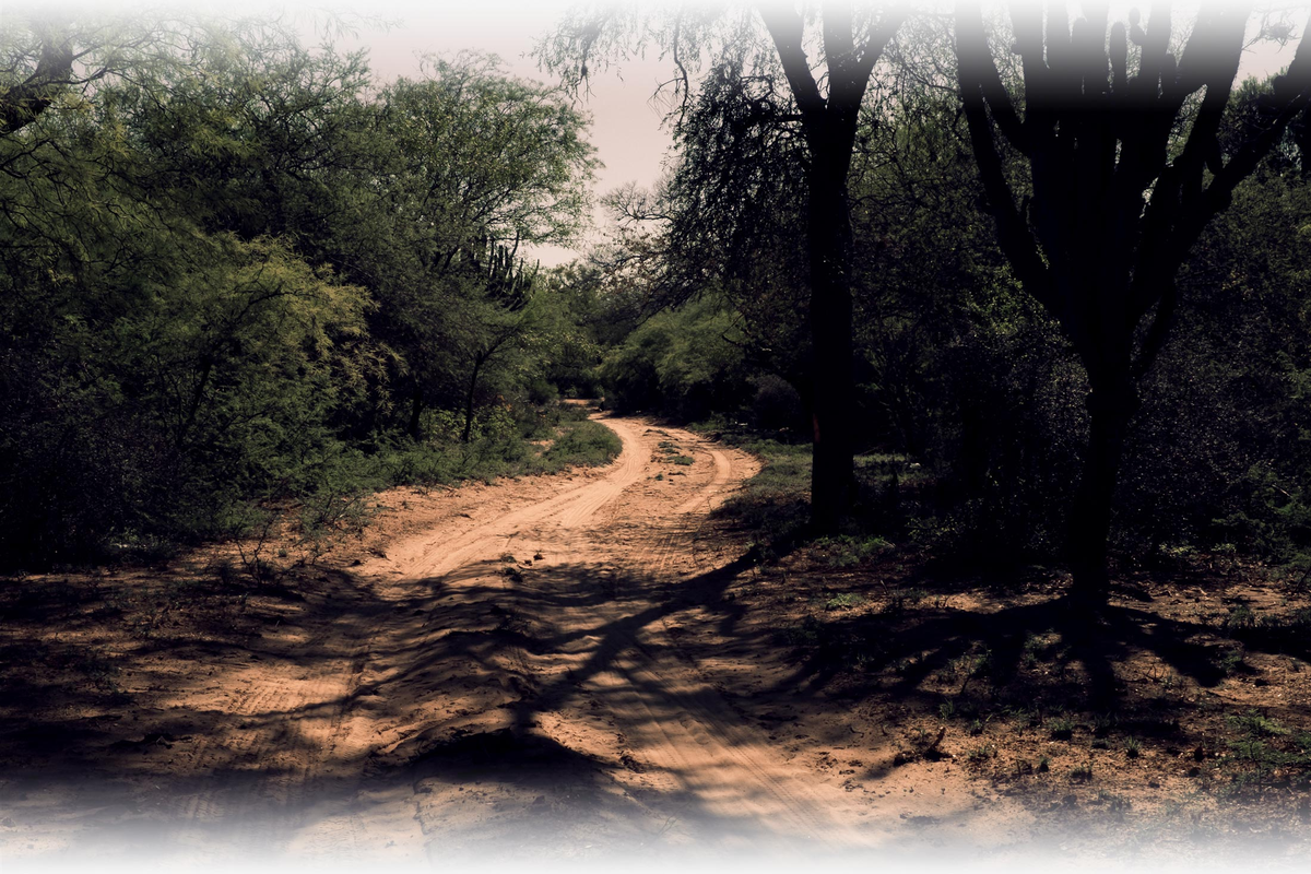 Drogan, encierran en el baúl y abandonan en el monte a un remisero