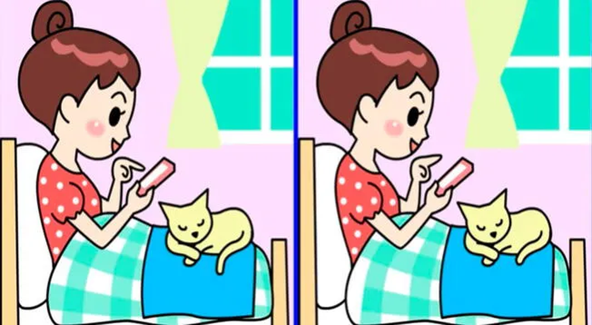 RETO VISUAL nivel PRO: solo el 2% encontró las 3 diferencias ¡en 7 ...