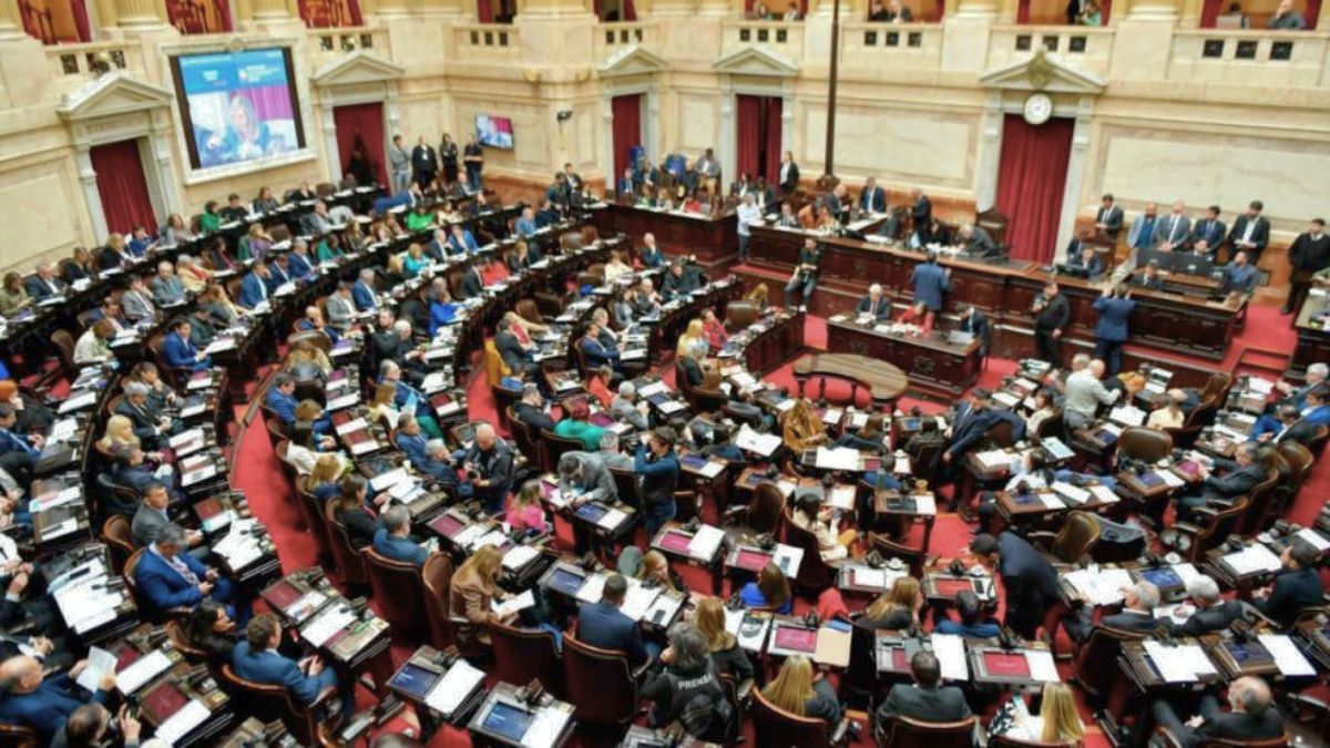 ATENCIÓN ¿Qué puede hacer un presidente a través de un Decreto de Necesidad y Urgencia en Argentina?