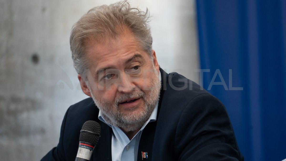 Roberto Mirabella: Para mí sería un desafío enorme liderar el próximo ...