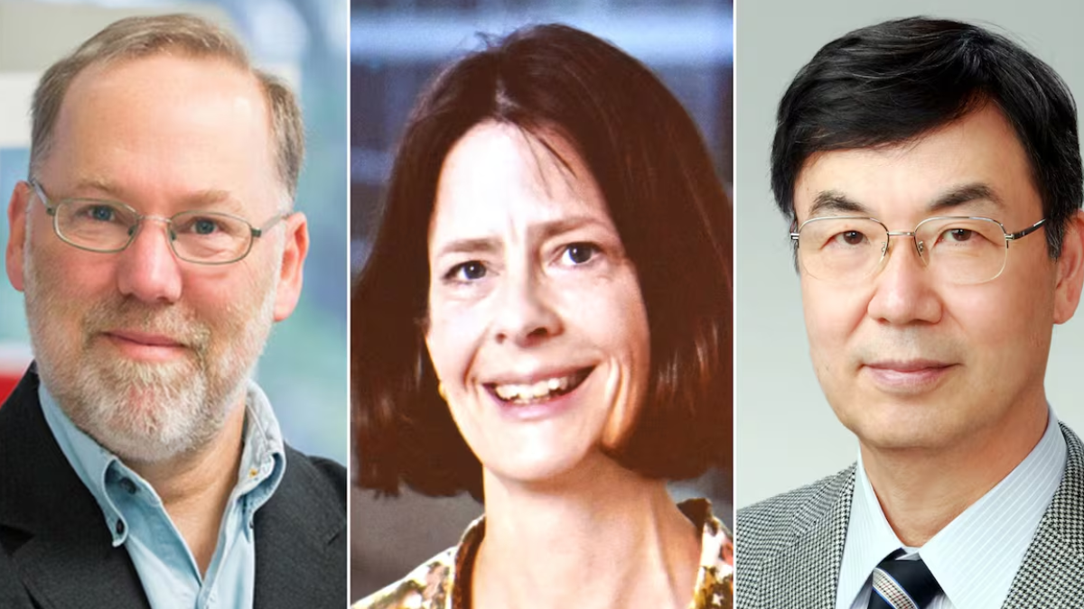 Quiénes ganaron el premio Nobel de Medicina 2025: el descubrimiento de los tres científicos ...