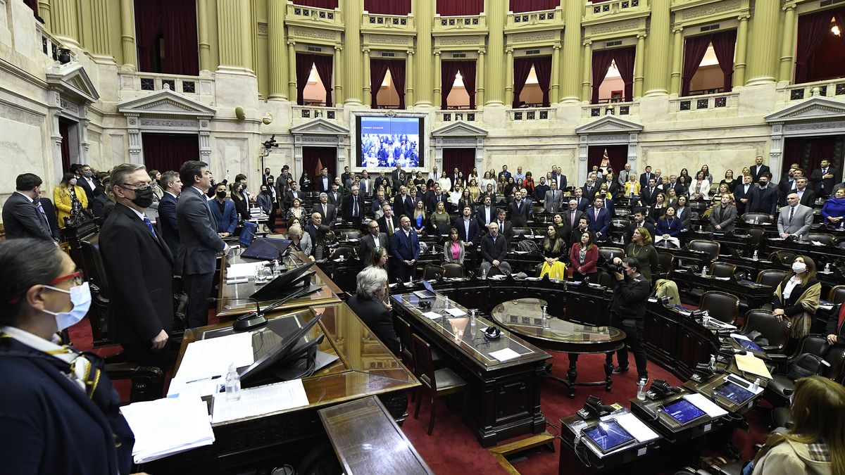 Diputados Aprobó Por Unanimidad El Alivio Fiscal Para Monotributistas Y