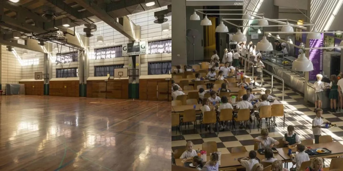 Así es el lujoso colegio al que va Mirko, el hijo de Marley: formación ...