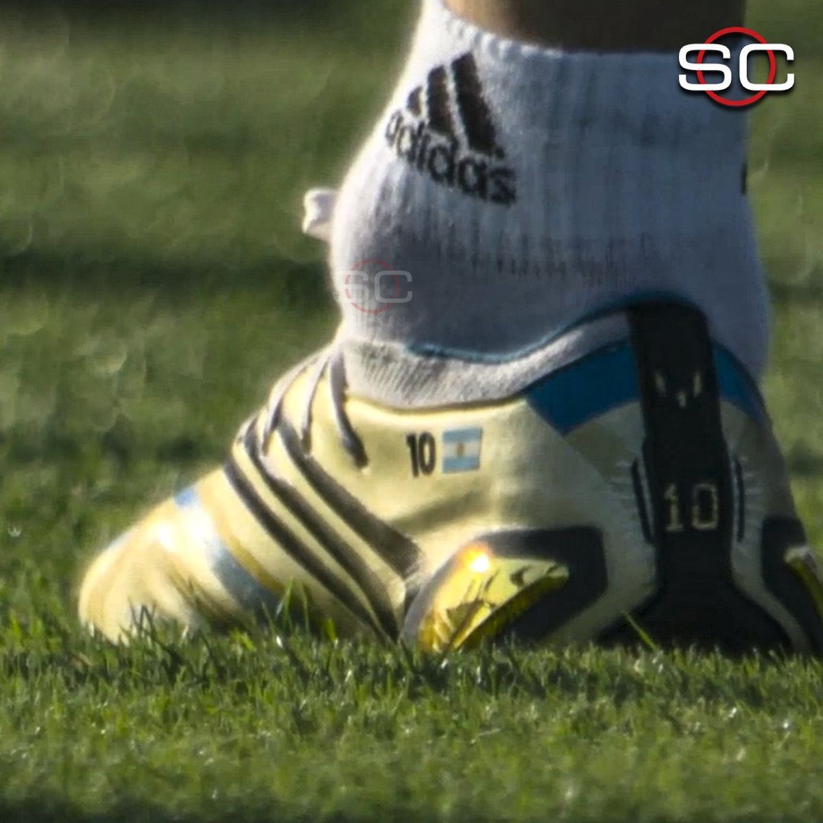 El tobillo de Lionel Messi que preocupa a Scaloni de cara al debut en ...