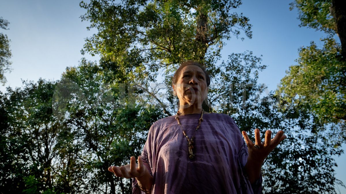 Colonia Dolores: el camino de sanación, un ritual ancestral mocoví que ...