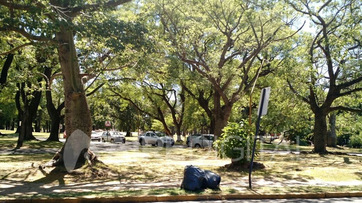 ¿Ciudad turística? El Parque Garay, sin servicios básicos