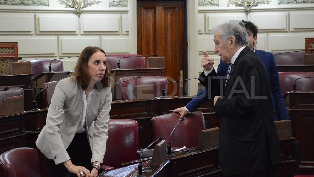 Caso Oldani: hay aval legislativo para desplazar a la fiscal Cristina ...