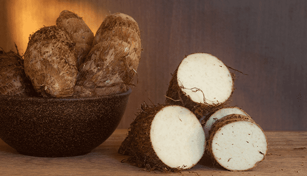 MasterChef: conocé la papa ñame, el tubérculo favorecido por Germán ...