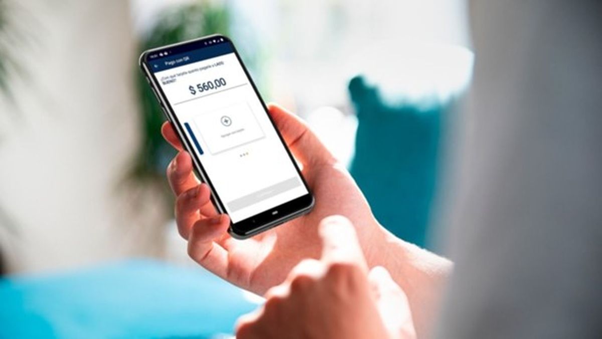 DEBIN Programado: cómo funciona el nuevo sistema para pagar en cuotas ...