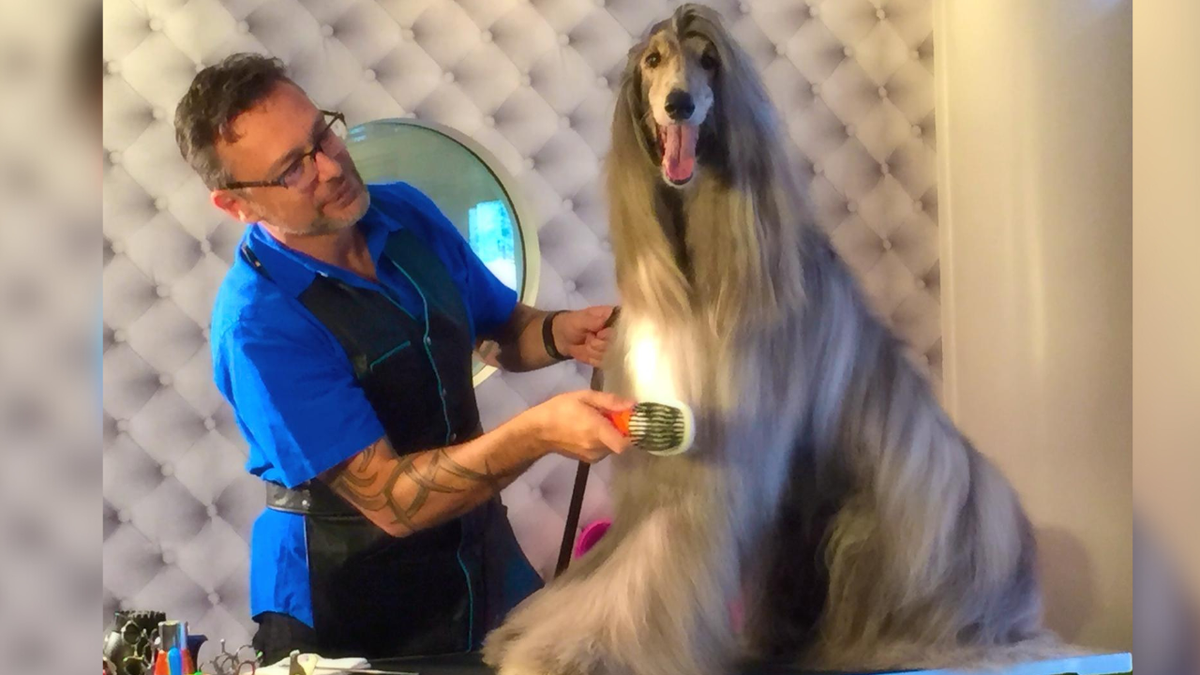 De Buenos Aires a Manhattan: el camino de Jorge Bendersky, el estilista ...