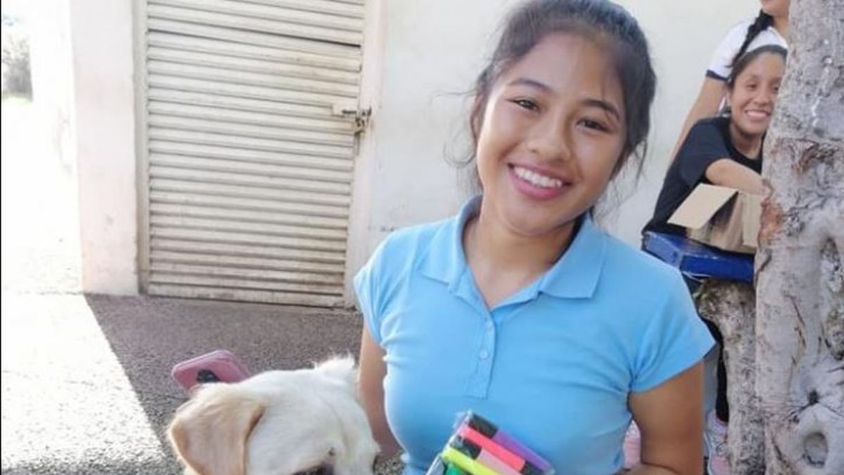 Scott, el perro que vende resaltadores para operarse y seguir caminando
