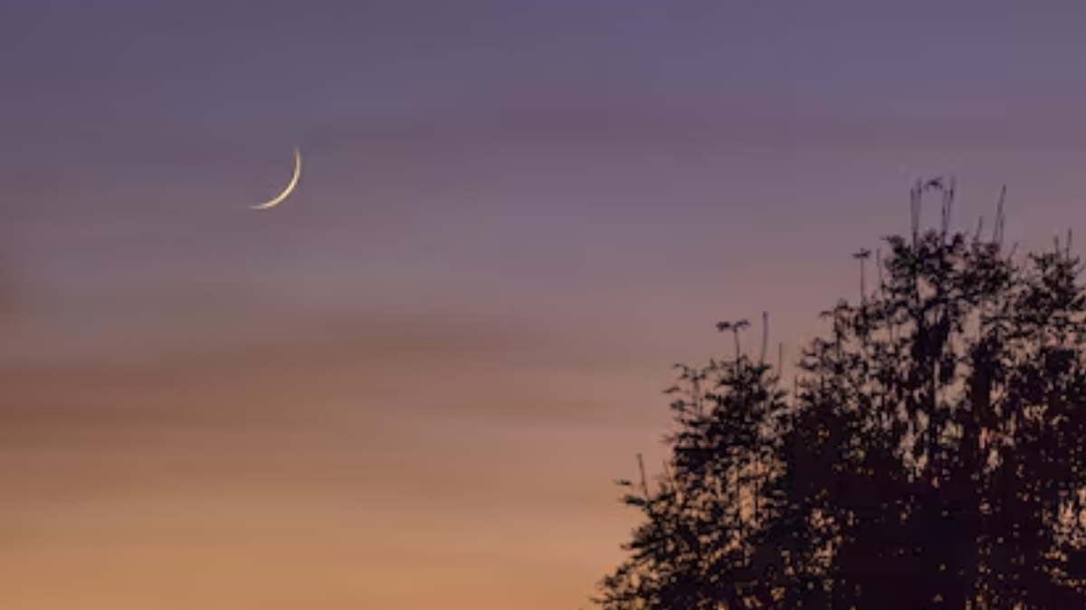 Luna nueva en Leo 2025: cómo impacta en cada signo y por qué conviene ...