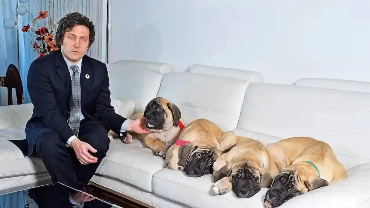 La historia de Javier Milei y sus perros llega al Wall Street Journal