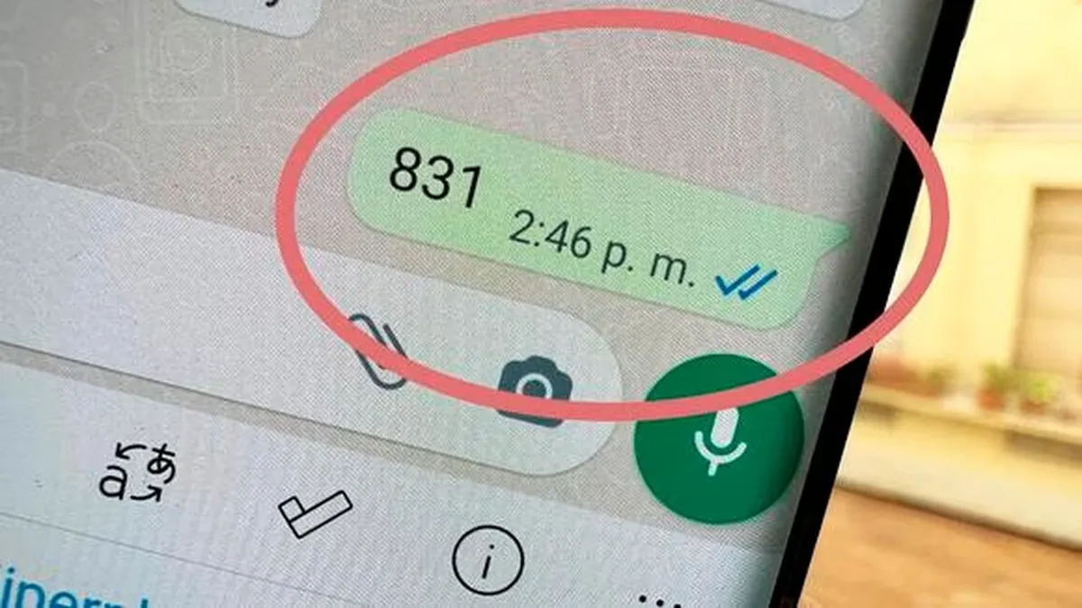 WhatsApp: qué significa el 831 y para qué se usa