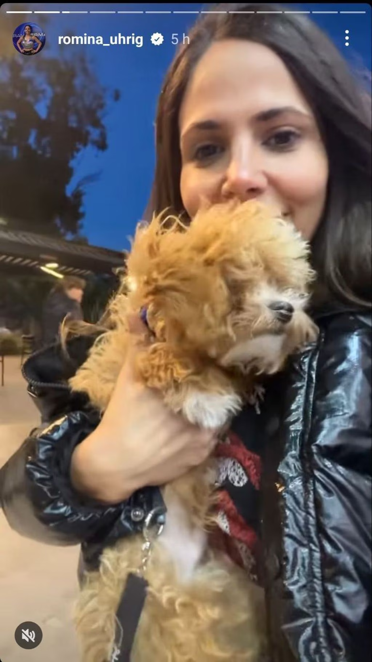 Cómo es la lujosa cama de $22 mil que tiene el perro de Romina Uhrig