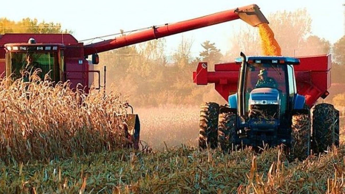 Si soplamos todos llegamos a 150: Aumentaron la estimación de cosecha ...