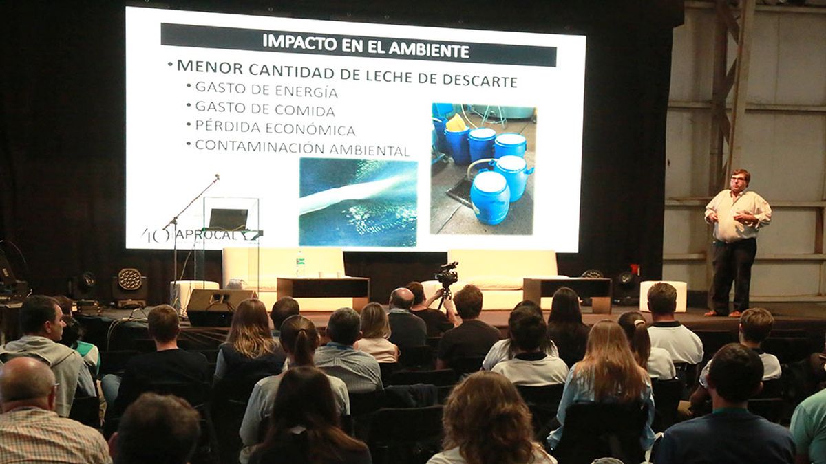 TodoLáctea 2025: reconocimiento a la calidad de la leche y el bienestar ...