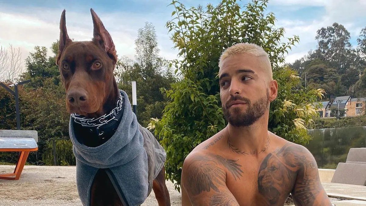 El perro de Maluma lo mordió en la cara: cómo quedó