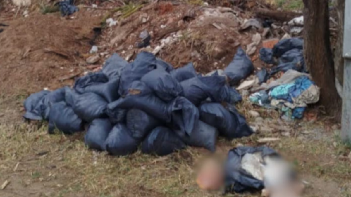 Brenda Torres, la joven descuartizada en Córdoba: los mensajes que ...