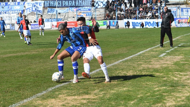 Quién es Conan "el hijo" de Milei y sus cuatro perros, fruto de una ...