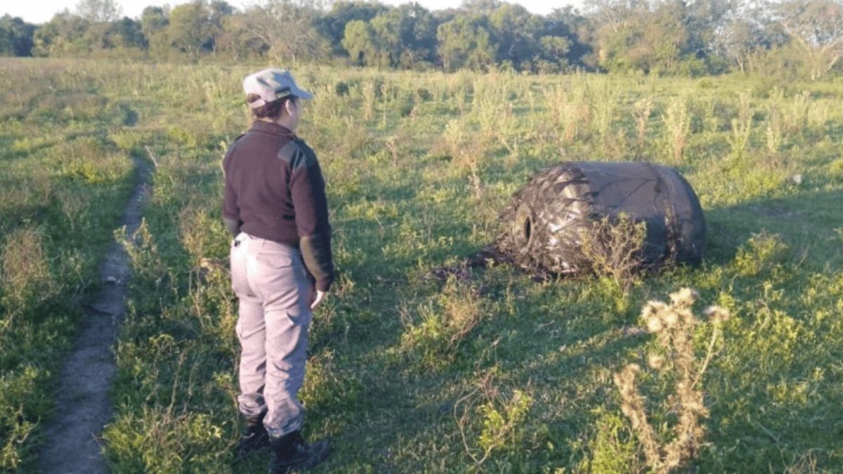 Un objeto misterioso cayó del cielo en Chaco: ¿chatarra espacial o algo ...